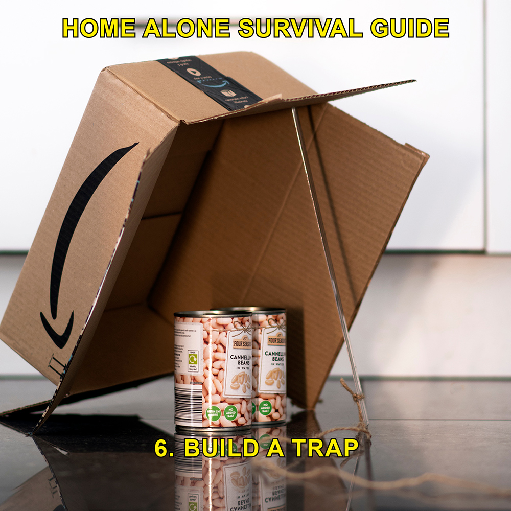 MAX SIEDENTOPF — Home Alone – a Survival Guide